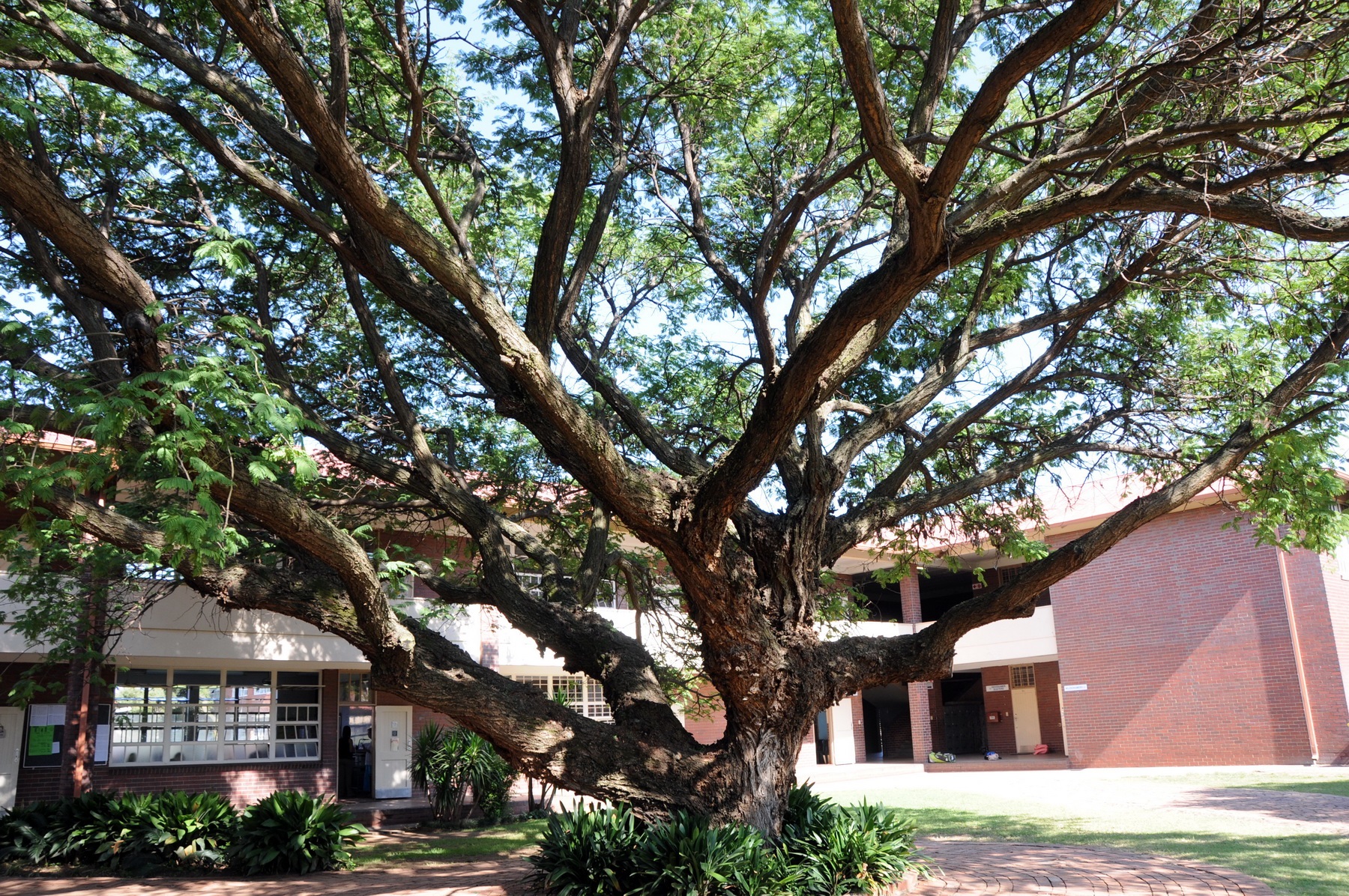 KONTAK ONS – Hoërskool Oos-Moot